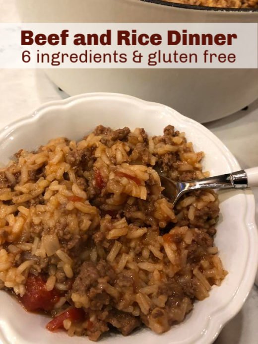 Quick and Easy Beef and Rice Dinner - Lynn's Kitchen Adventures