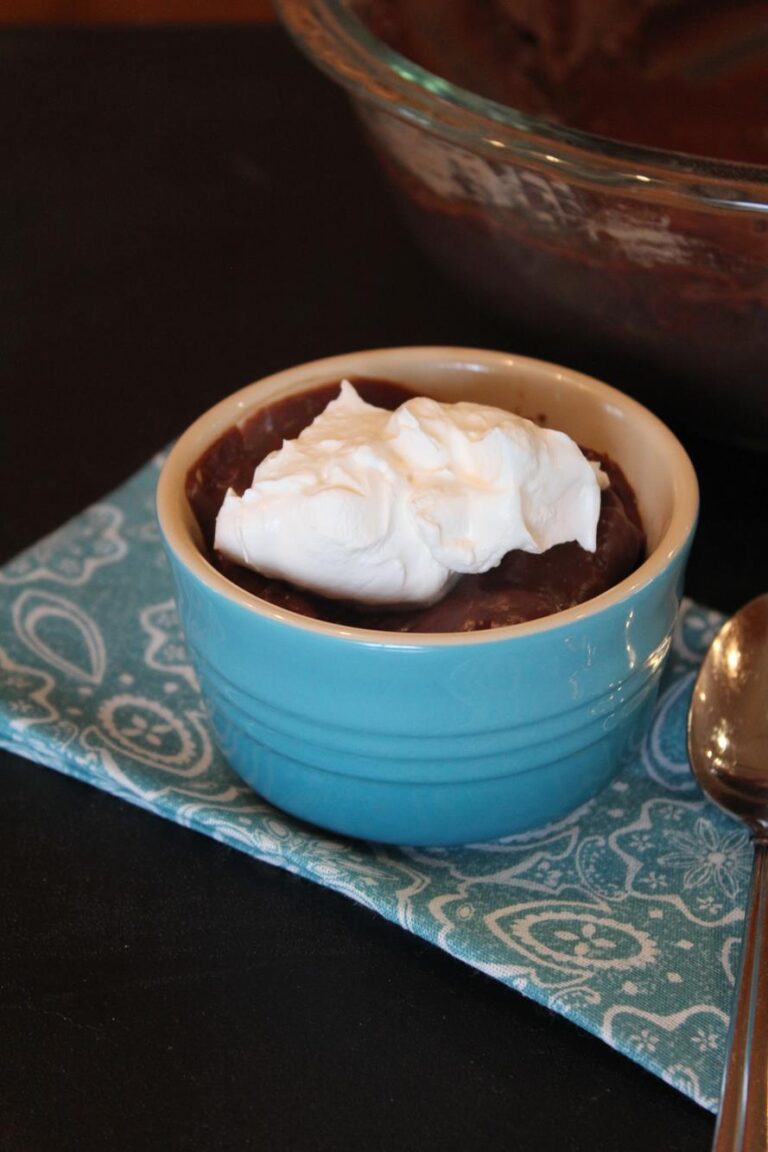 Microwave Chocolate Pudding - Lynn's Kitchen Adventures